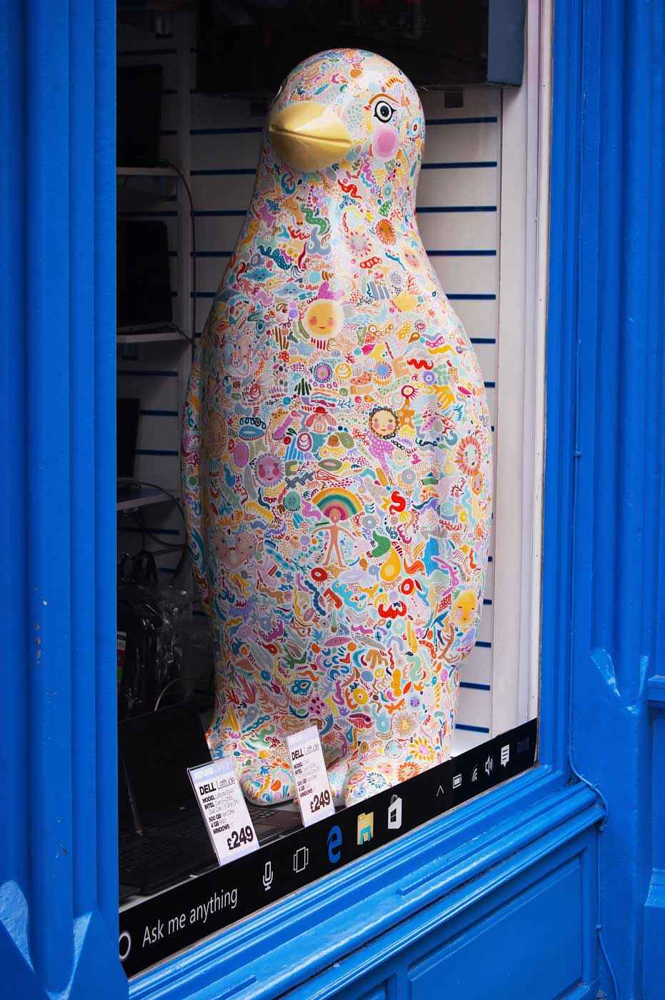 Come and See our Korora-mantic Penguin - Disc Depot Dundee